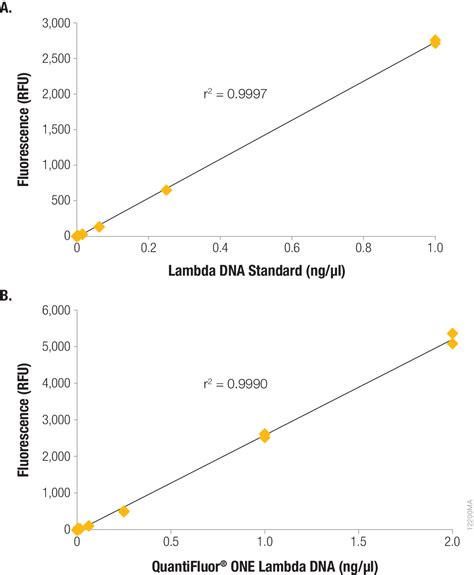Fluorescence Dye Based Quantitation Sensitive And Specific For Ngs