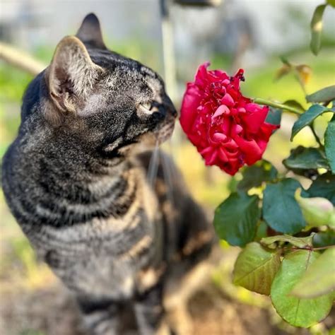 Robert Barnes Rwbarnes1967 • Threads Say More