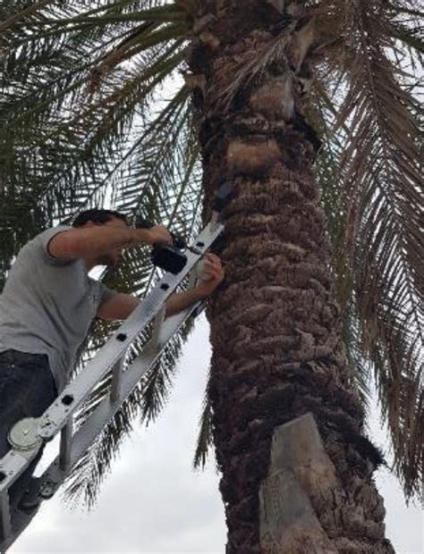 Agrint Equitec Uruguay