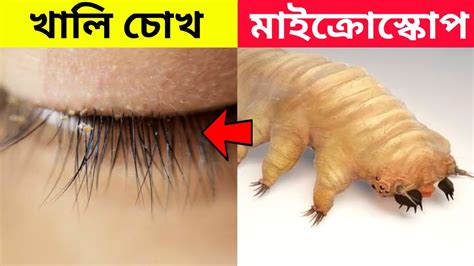 যা শুধু Microscope এ দেখা যায় 😱। Things Under Microscope Youtube