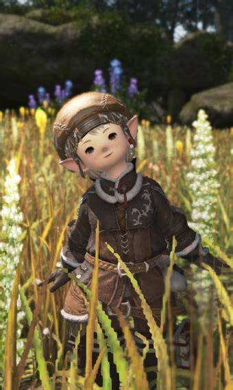 Herbalist Eorzea Collection
