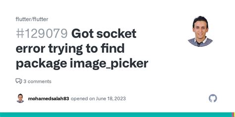 Got Socket Error Trying To Find Package Imagepicker · Issue 129079 · Flutterflutter · Github