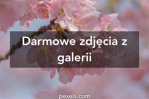 800 Najlepszych Zdjęć Z Kategorii 【excel効率化】半角と全角の文字が混在するエクセルのデータをどちら