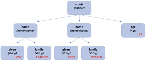 Example Of The Tree Of A Fhir Resource Download Scientific Diagram