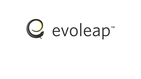 Evoleap Engineering Software And Flow Assurance Experts