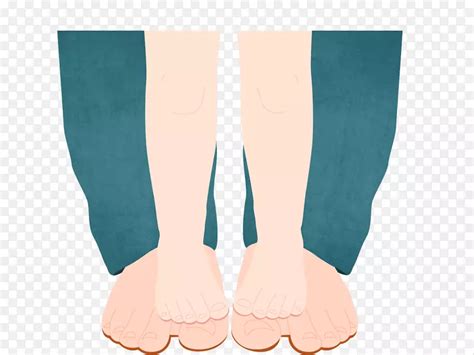 矢量手绘大脚与小脚png图片素材下载图片编号qvvzgzwq 免抠素材网