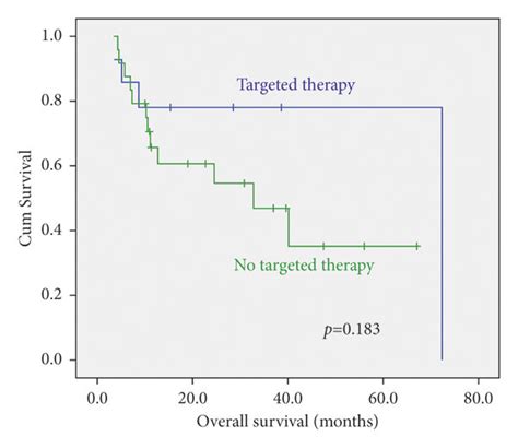 Cumulative Overall Survival Rates And Kaplanmeier Analysis Of