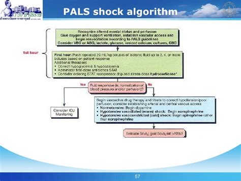 26 Sepsis 6 Flow Chart