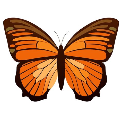 Arrière plans De Page Papillon Inspirés De La Nature Vecteur Premium