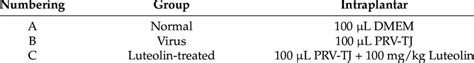 grouping of in vivo experiments download scientific diagram
