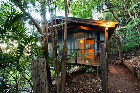 Best Luxury Treehouse Accommodation In Queensland Staytopia