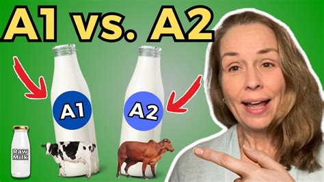 What Is The Difference Between A1 And A2 Milk And Where Does Raw Milk