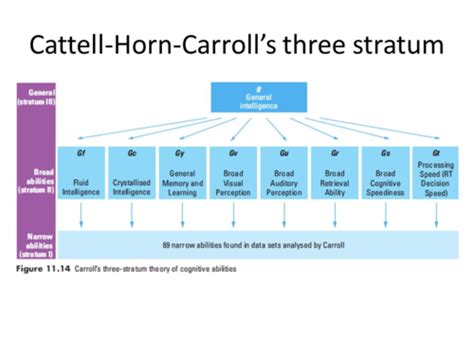 Psyc 240 Chapter 3 Flashcards Quizlet