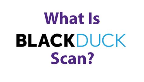What Is Black Duck Scan Black Duck Software Overview Reasons To