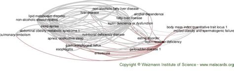 Leptin Receptor Deficiency Disease Malacards Research Articles