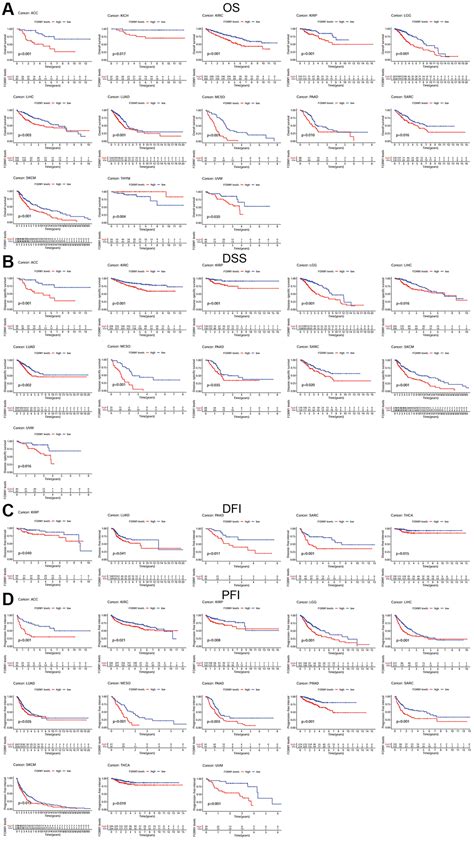 Prognostic Value And Immunological Role Of Foxm1 In Human Solid Tumors