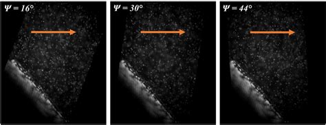 Images From Fig 6 Processed With Rotational Dlfc With Arrows Download Scientific Diagram