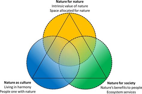 Background — Nature Futures Framework