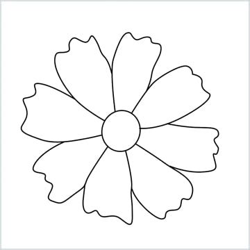 How To Draw A Marigold Step By Step Easy Phase