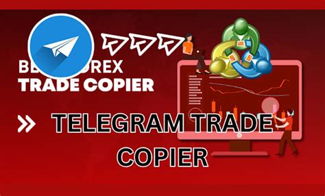 provide telegram trade copier telegram signal for mt4 mt5 ctrader and nt8 by abiotiktok fiverr
