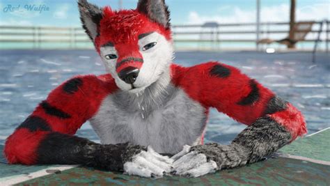 Wet Wolf By Red Wulfie On Deviantart
