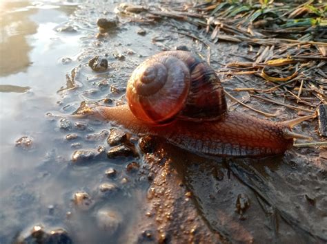 Център за Център за обществена подкрепа град Елин Пелин