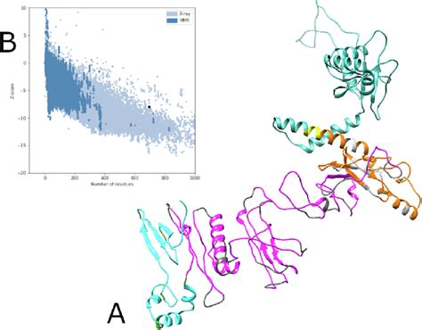 Structural Prediction And Validation Of Proposed Multiepitope Vaccine Download Scientific