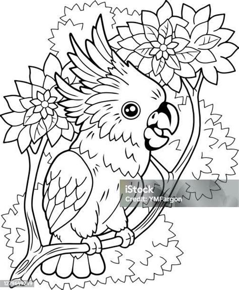 만화 앵무새 색칠 공부 재미있는 일러스트 컬러링 북 페이지 일러스트레이션 기법에 대한 스톡 벡터 아트 및 기타 이미지 컬러링 북 페이지 일러스트레이션 기법 0명