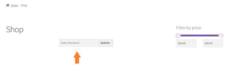 How To Password Protect Your Woocommerce Shop Step By Step Guide