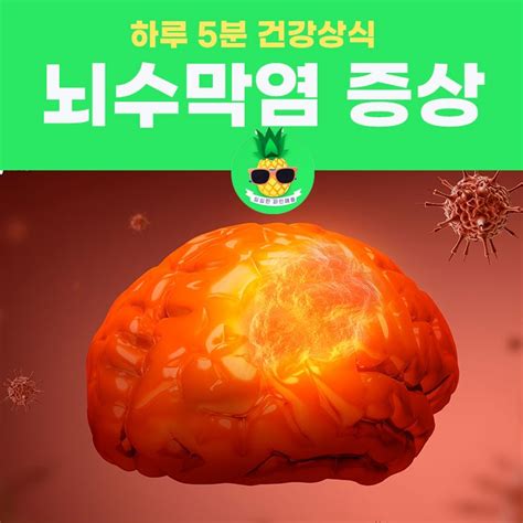 뇌수막염 원인 증상 검사 예방접종 전염 네이버 블로그
