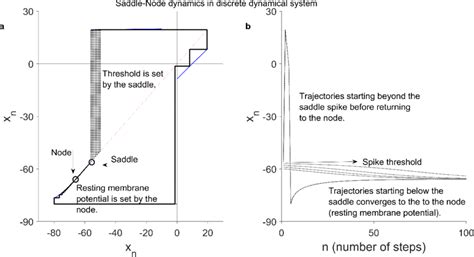 resting dynamics in the discrete model resting dynamics in the