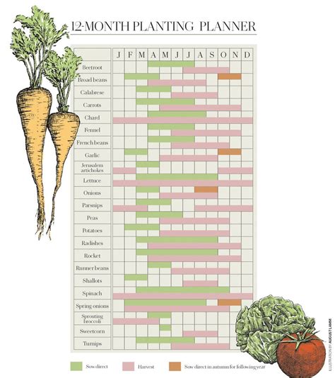 Los Angeles Planting Calendar Dyanne Lyndsey
