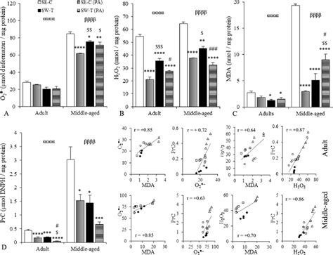Oxidative Stress Markers In Medial Pre Frontal Cortex Superoxide A