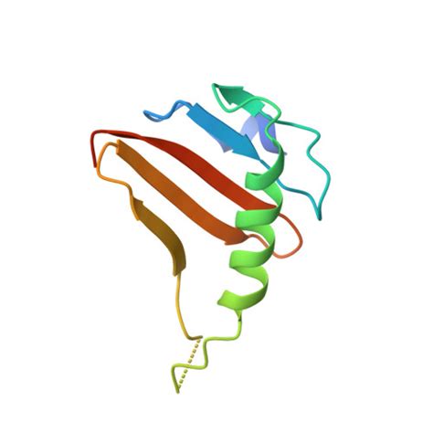 Rcsb Pdb 7uxh Cryo Em Structure Of The Mtorc1 Tfeb Rag Ragulator Complex