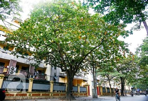 Tổng hợp công thức vecto hình học lớp 10