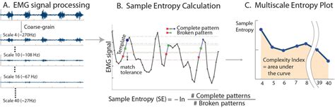 Schematic Of Multiscale Entropy Calculation A After The Original Emg