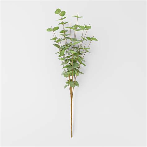 Shop Eucalyptus Spray Green Online Bed Bath N Table