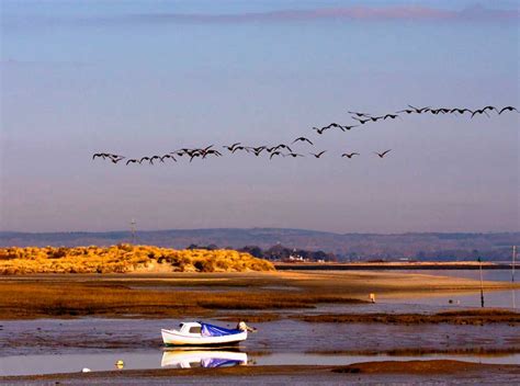 Wildlife Aware Watersports Chichester Harbour Conservancy