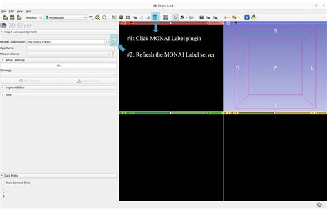 Quickstart — Monai Label 0 7 1 Documentation