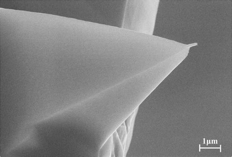 Sem Image Of An As Grown Nanotube Tip Download Scientific Diagram