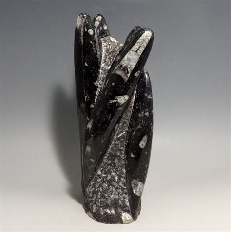 Polished Fossil Orthoceras Fossil Squid Tower From Morocco Den Of