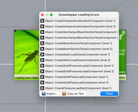 Grasshopper Loading Errors Causing Windows Errors In Lady Bug