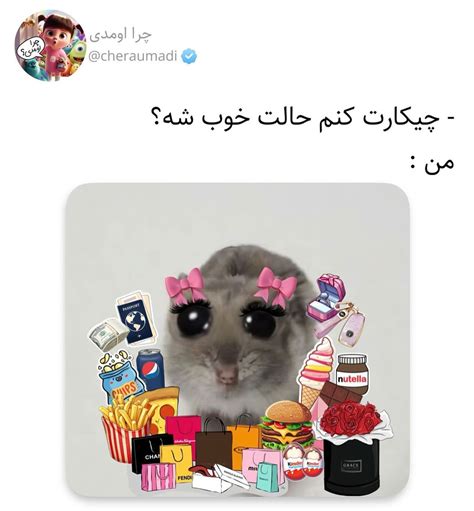 Cheraumadiinstagram On Pinno یه بار دیگه نگاه کن😂 با دقت ببین Che