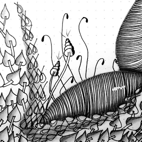 How To Draw Zentangles One Zentangle A Day Emily Suess