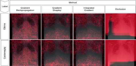 논문 리뷰 Envisioning Medclip A Deep Dive Into Explainability For Medical Vision Language Models