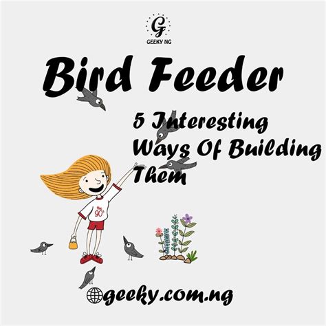 Geeky Nigeria On Linkedin Do You Know What Is Bird Feeder Click On