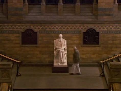 Unlocking The Secrets Of Evolution An In Depth Examination Of Charles Darwin And The Tree Of Life