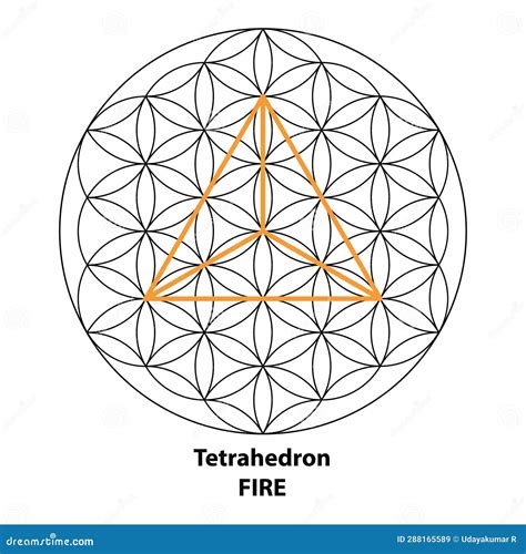 Tetrahedron Outline Vector Icon Thin Line Black Tetrahedron Icon Flat Vector Simple Element