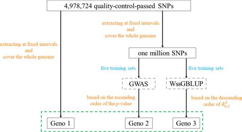 Prediction Of Genomic Breeding Values Based On Pre Selected Snps Using Ssgblup Wssgblup And
