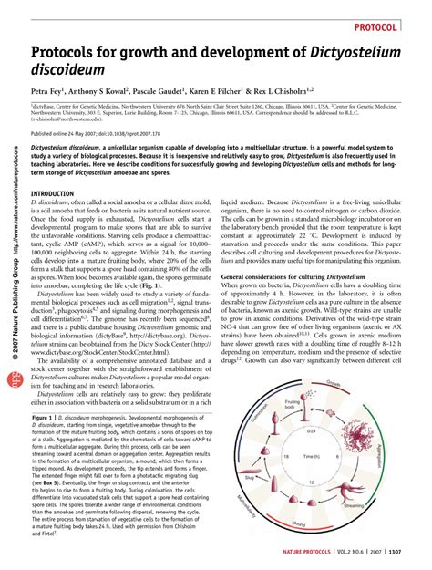 Pdf Protocols For Growth And Development Of Dictyostelium Discoideum
